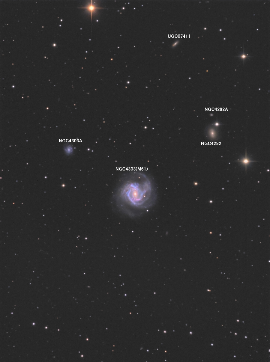 NGC4303 (M61) 2014/03/07 [宇宙(そら)のキャンバス]