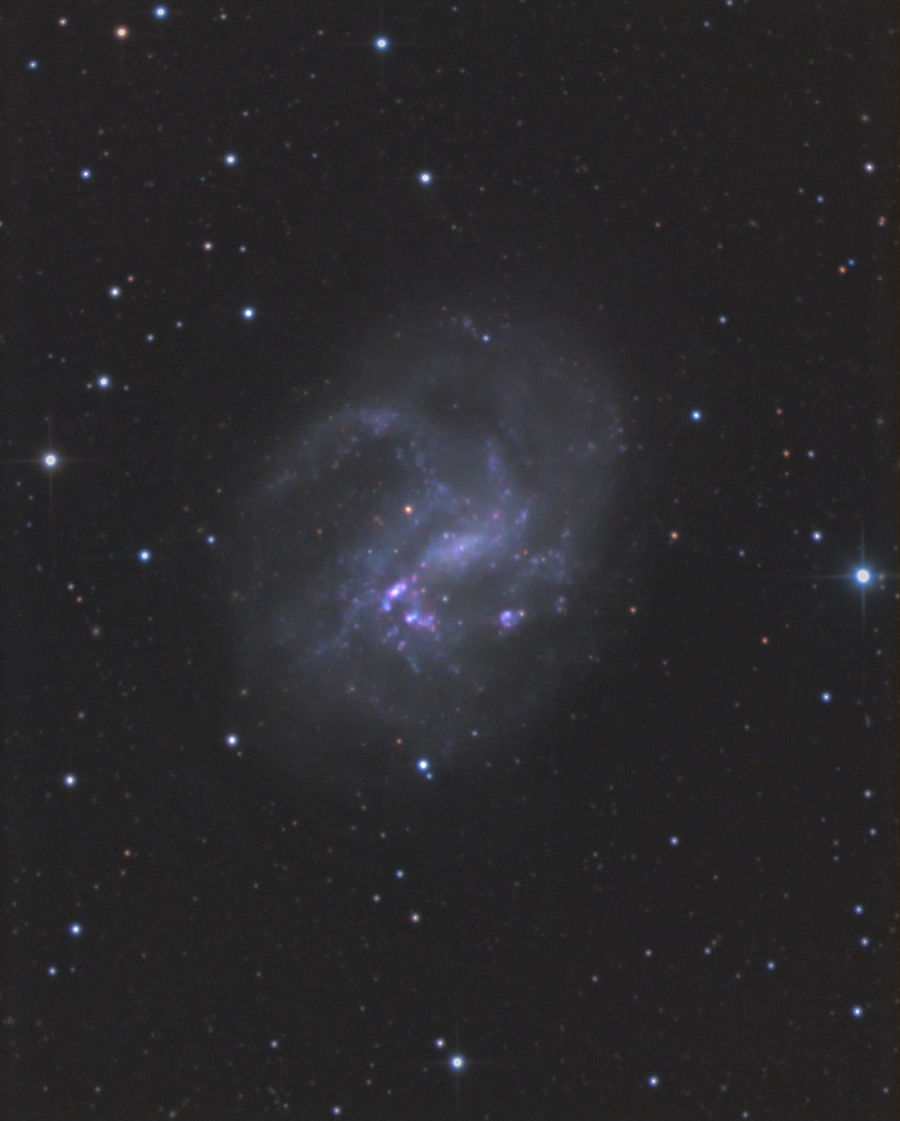 NGC4395 2017/01/27 [宇宙(そら)のキャンバス]